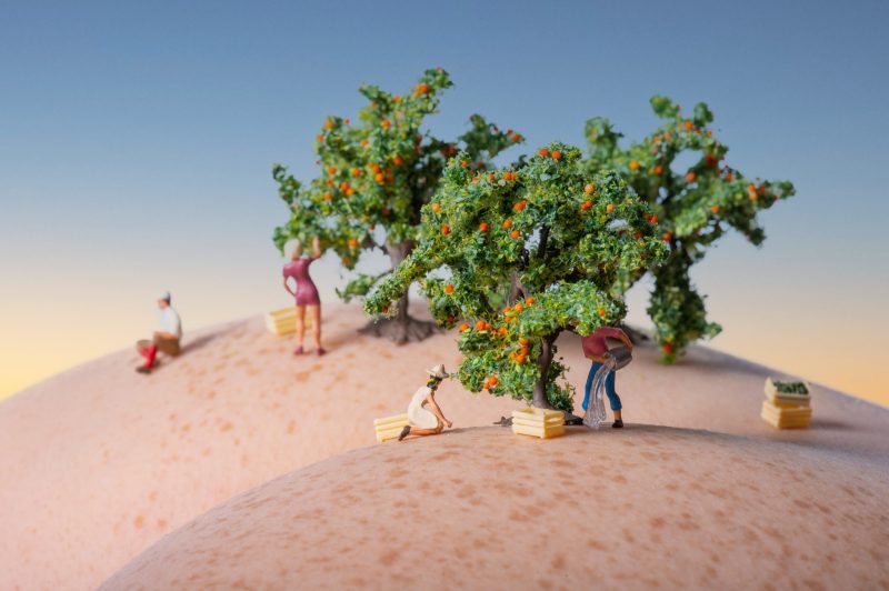 Cet artiste transforme des objets du quotidien en mondes miniatures ...