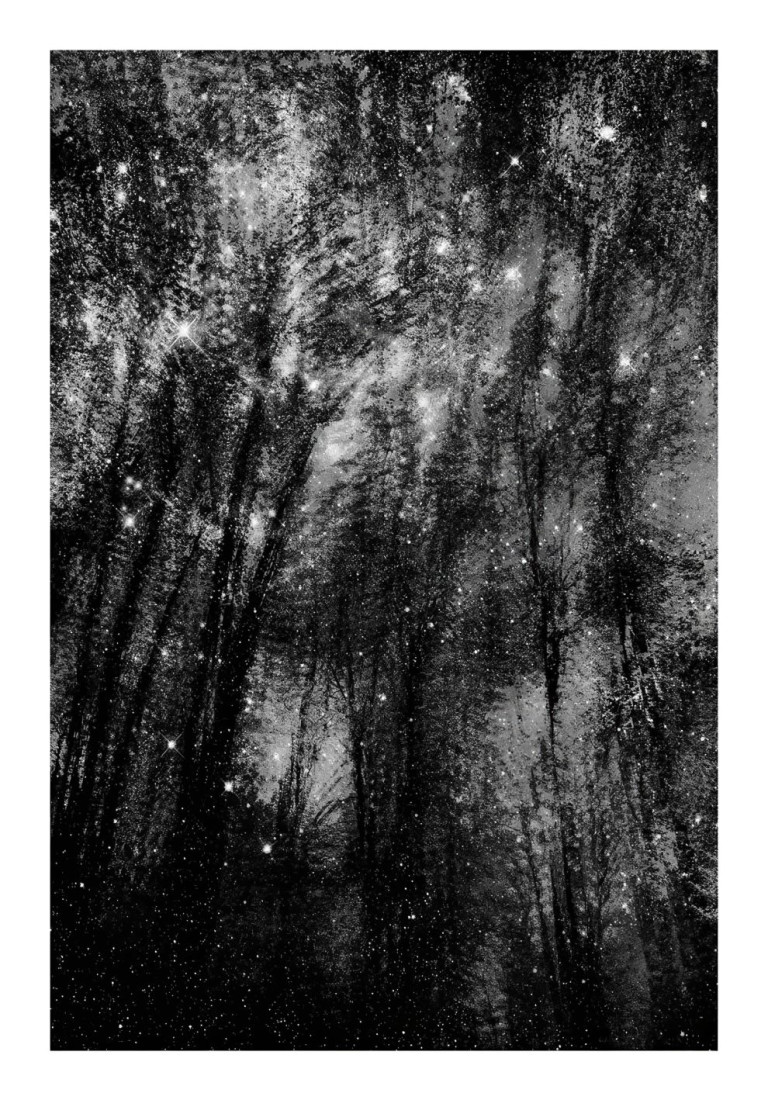 Ces 25 photos lauréates du Exposure One 2025 subliment la nature en ...